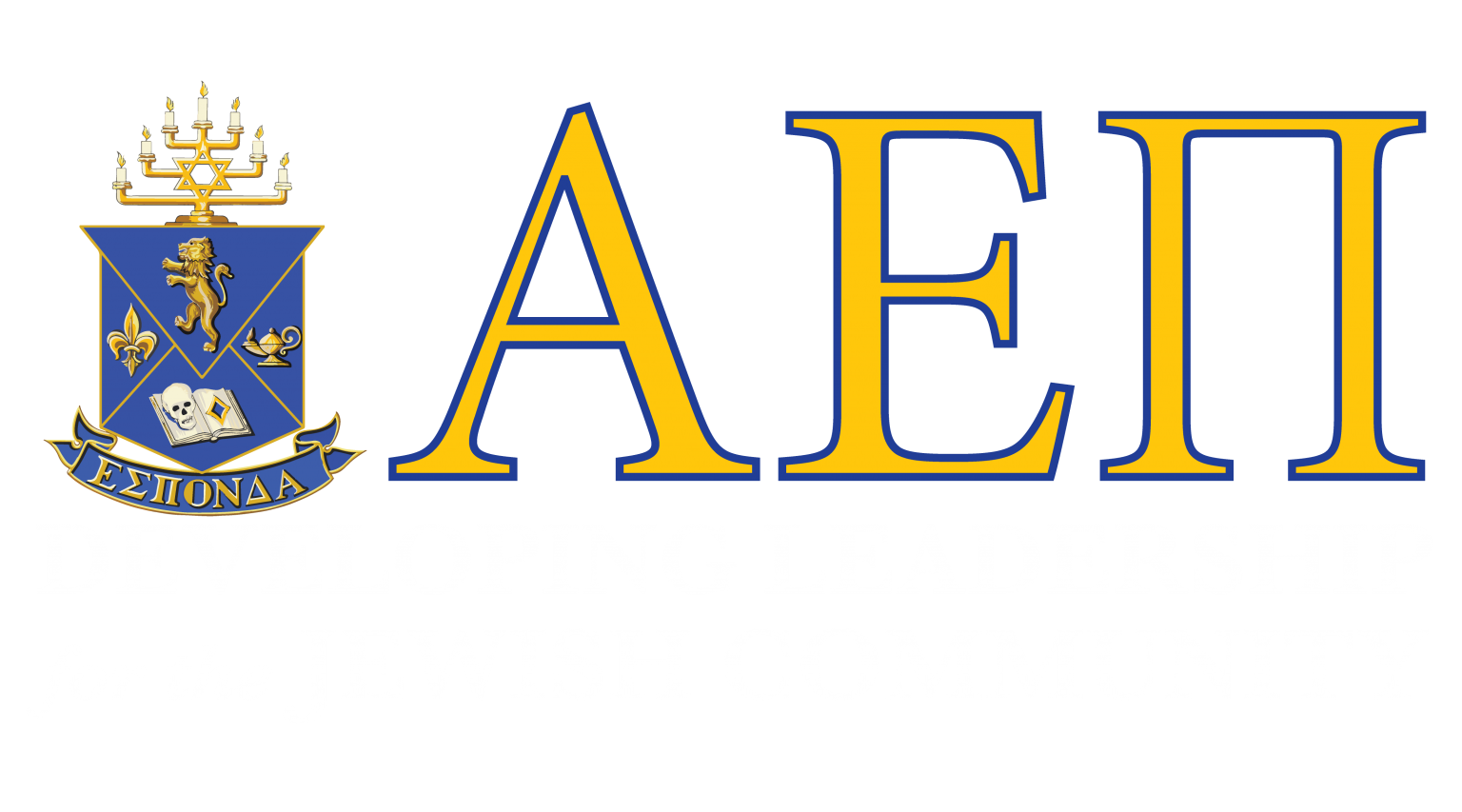 AEPi Antisemitism Campaign | AEPi